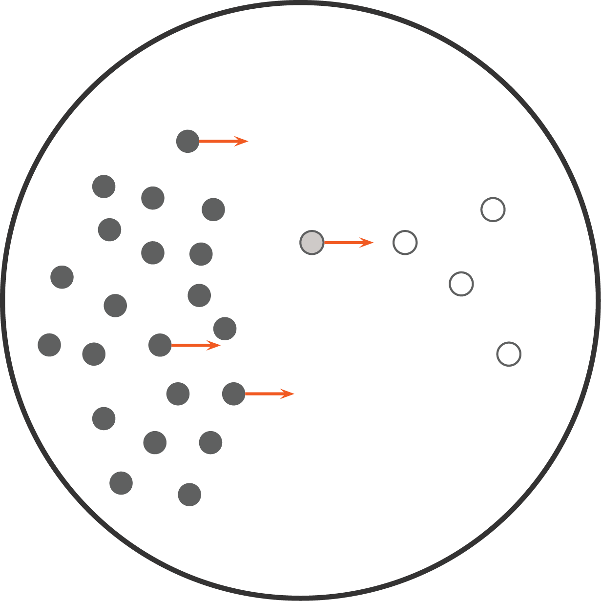 Customer Churn Prediction Customer Churn Prediction